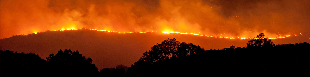 Home [www.mutualofenumclaw.com]